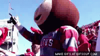 Buckeyes GIF - Find on GIFER