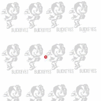 Buckeyes GIF - Find on GIFER