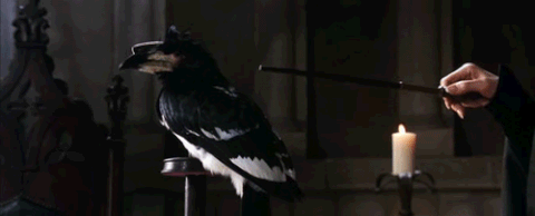 GIF dobby - animated GIF on GIFER