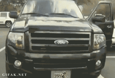 GIF inlove broccoli willyoumarryme - animated GIF on GIFER - by Gavirdana