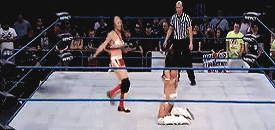 Vixen GIF - Find on GIFER