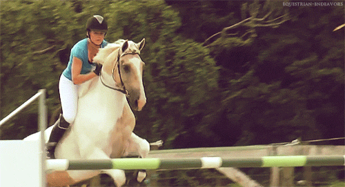 Equestrian GIF - Find on GIFER
