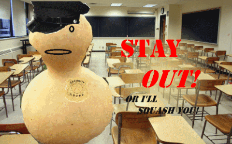 Security GIF - Find on GIFER