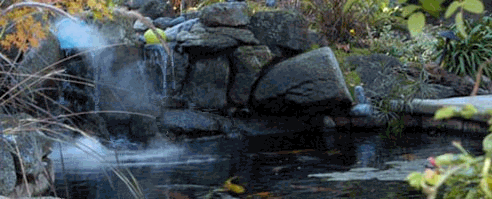 Landscape GIF - Find on GIFER