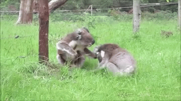 GIF grog reaction and - animated GIF on GIFER - by Ghozar