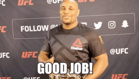 GIF ufc mma ufc 210 - animated GIF on GIFER