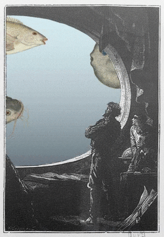 Jules verne octopus GIF on GIFER - by Mori