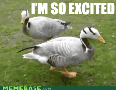 January GIF - Find on GIFER