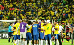 Brazil GIF - Find on GIFER