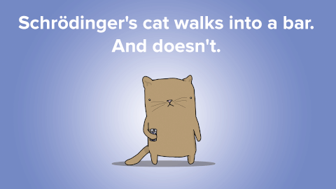 Puns GIF - Find on GIFER