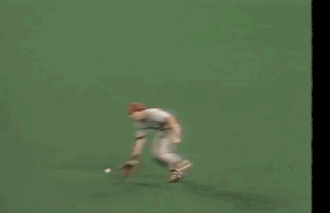 Cincinanati reds GIF - Find on GIFER