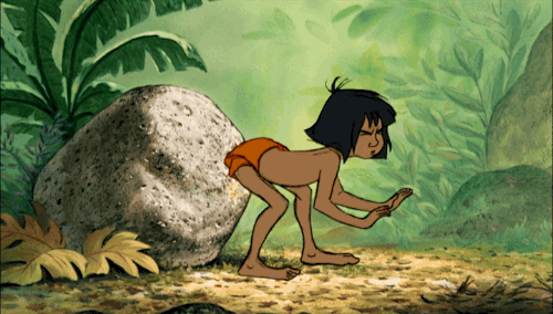 Mowgli the jungle book and the winner is GIF - Find on GIFER