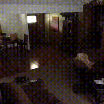 House ghost theres GIF - Find on GIFER