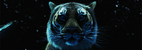 Tiger water animal GIF on GIFER - by Sairil