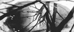Monochrome anime GIF - Find on GIFER