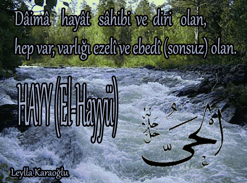 Hay GIF - Find on GIFER