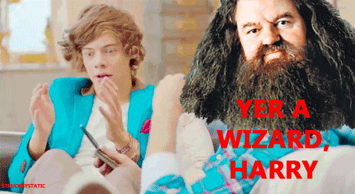 One direction harry styles harry potter GIF - Find on GIFER