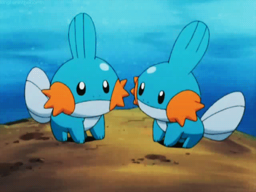 Pokemon mudkip GIF - Find on GIFER