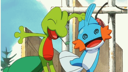 Mudkip GIF - Find on GIFER