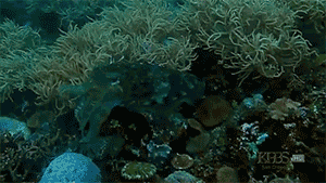 Mystery science theater 3000 mst3k GIF - Encontrar em GIFER
