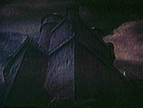 Halloween party rhett hammersmith GIF - Find on GIFER