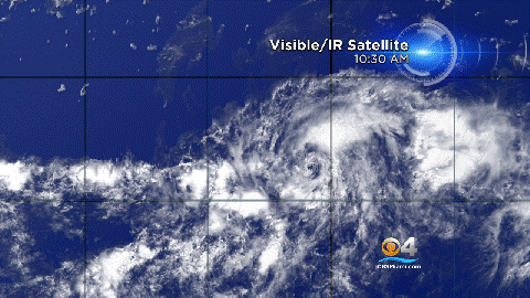 GIF tracking - animated GIF on GIFER