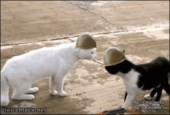 War GIF - Find on GIFER