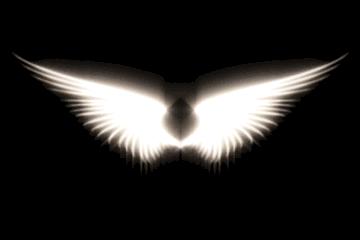 Wing GIF - Find on GIFER