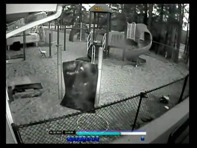 Footage GIF - Find on GIFER