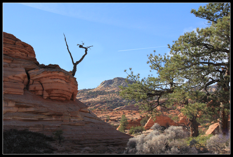 GIF hiking - animated GIF on GIFER