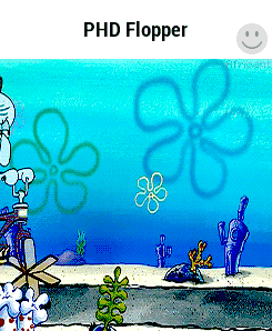 Phd GIF - Find on GIFER