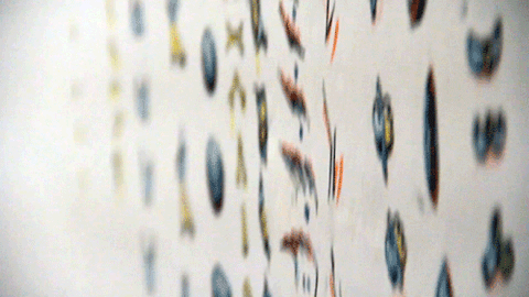 Blank on blank GIF - Find on GIFER