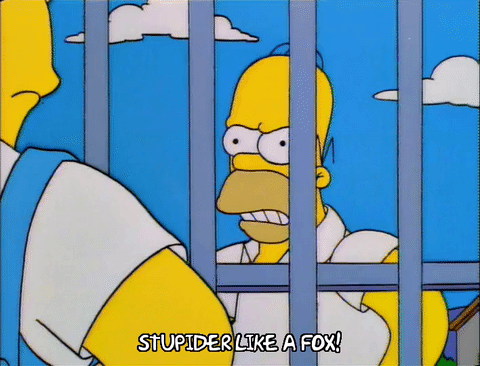 GIF homer simpson season 6 episode 25 - animated GIF on GIFER