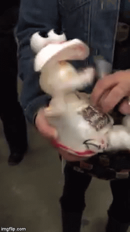 Asking GIF - Find on GIFER