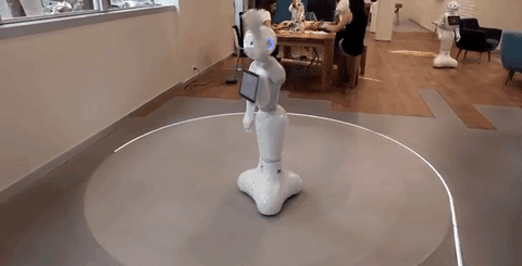 GIF empathy - animated GIF on GIFER