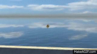 Leap GIF - Find on GIFER