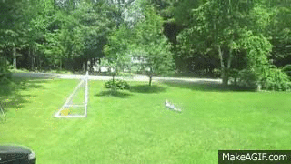 Catching breath GIF - Find on GIFER