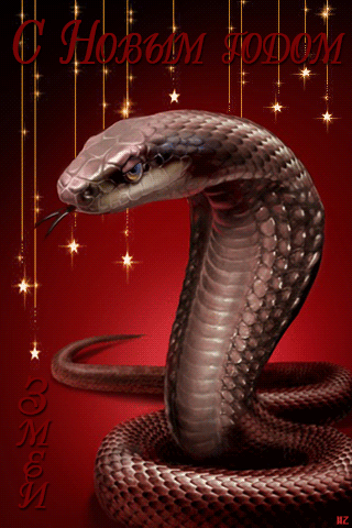 Preview GIF - Find on GIFER