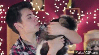 GIF sam and cat - animated GIF on GIFER