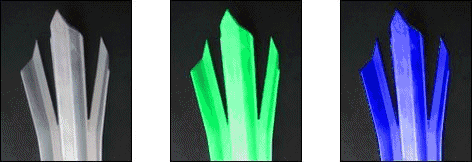 Afs GIF - Find on GIFER