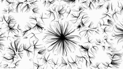 Fractals particles recursion GIF - Find on GIFER