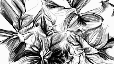 Finite subdivision particles fractals GIF - Find on GIFER