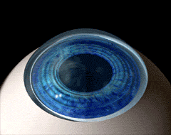 Eye page research GIF - Find on GIFER