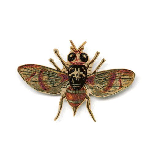 Collage GIF - Find on GIFER