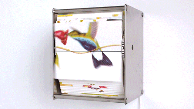 GIF butterflies design amazing - animated GIF on GIFER