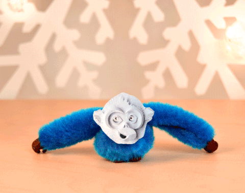 Monkeys GIF - Find on GIFER