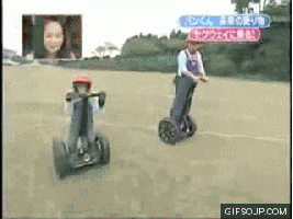 Chimpanzee GIF - Find on GIFER