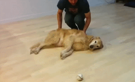 Vertigo GIF - Find on GIFER