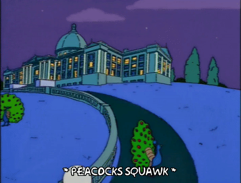 I did a thing GIF - Find on GIFER