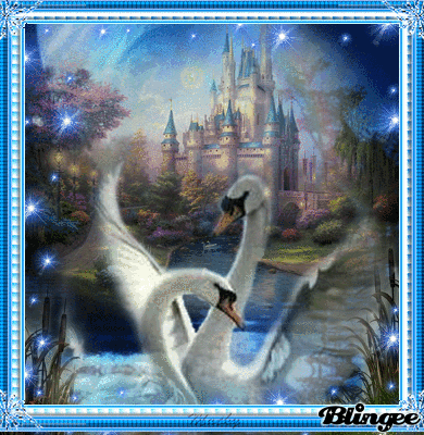 Swan GIF - Find on GIFER